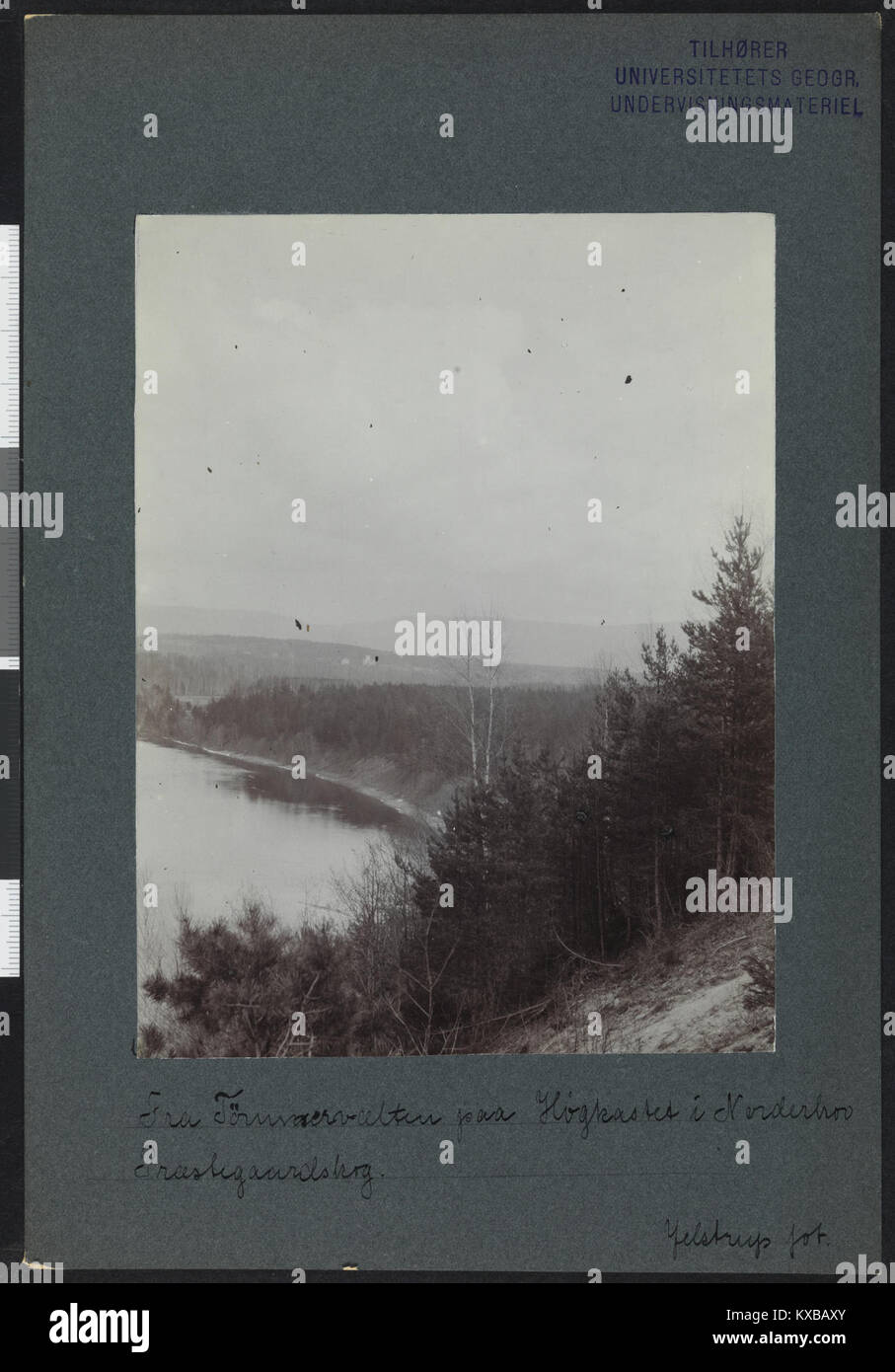 This photograph from the Norderhov Priestgaard Forest in Norway ...