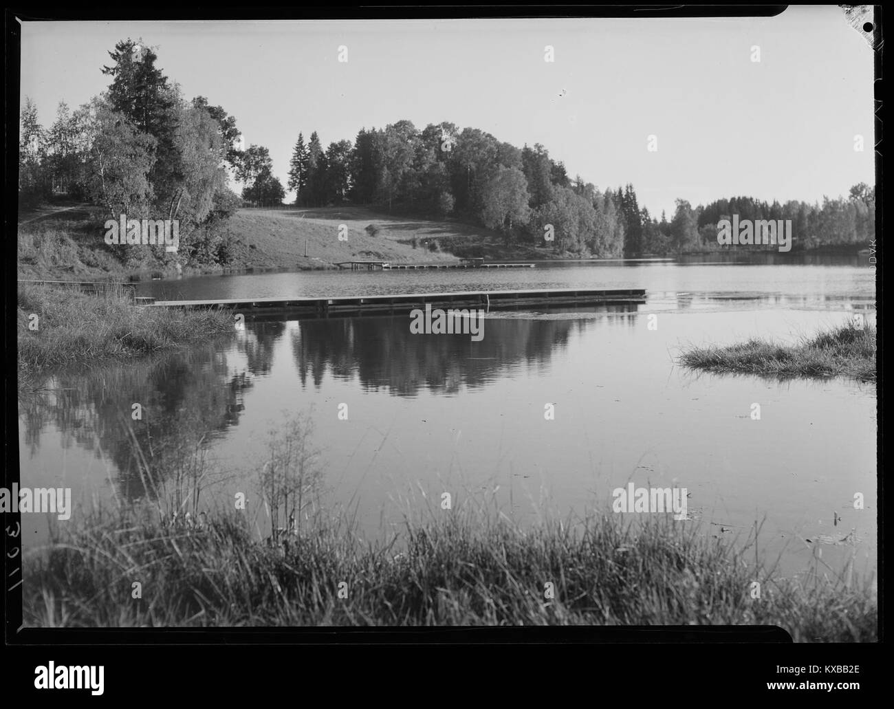 The changing seasons Black and White Stock Photos & Images - Alamy