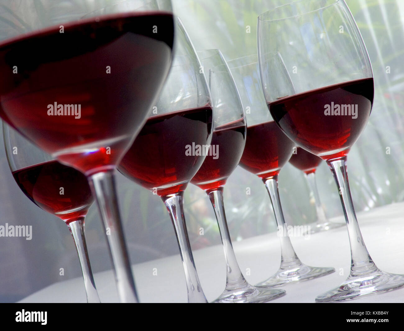 Formal red wine tasting session in Californian winery garden room with ...