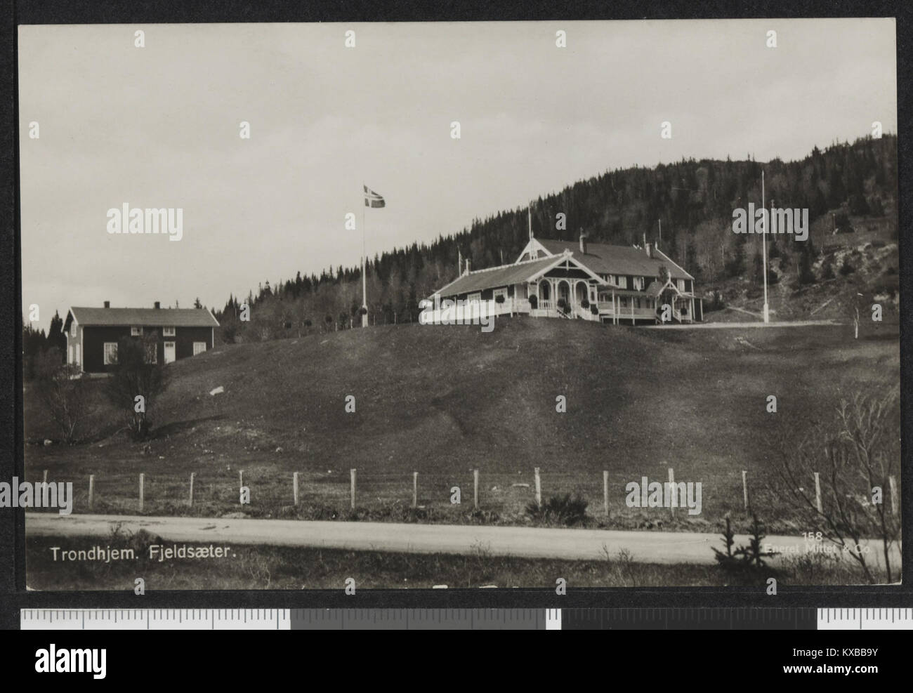 Photograph of a fjeld (mountain) in Trondhjem, Norway, showcasing the ...