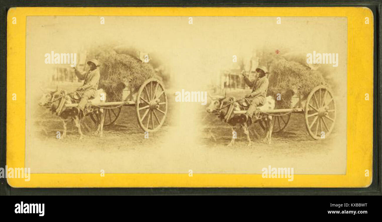 15th amendment illustration hi-res stock photography and images - Alamy