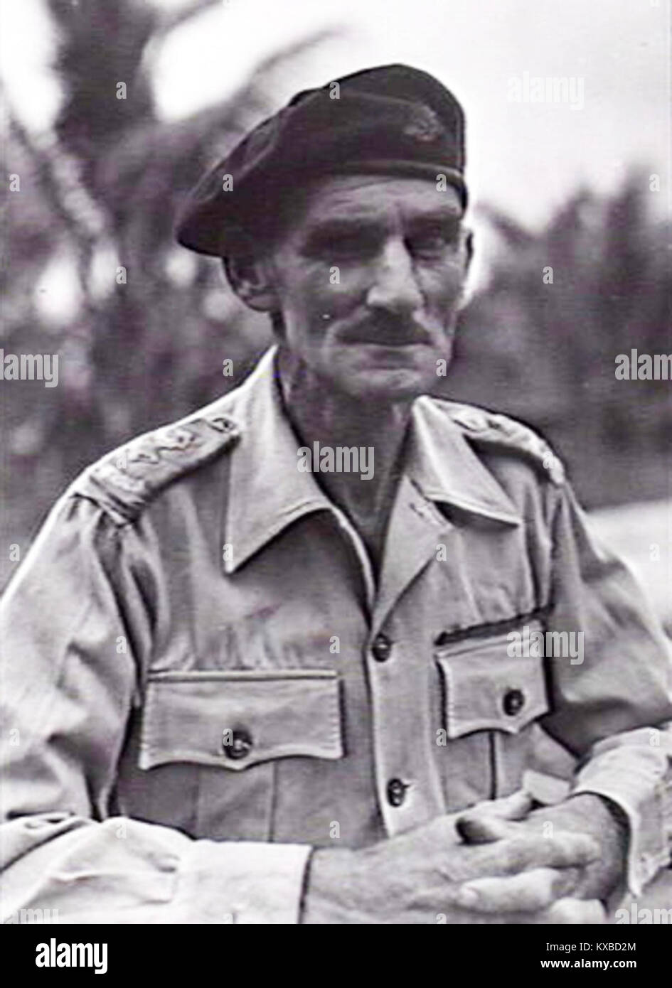 A portrait of Lieutenant Colonel A. L. Rose, providing a glimpse into ...