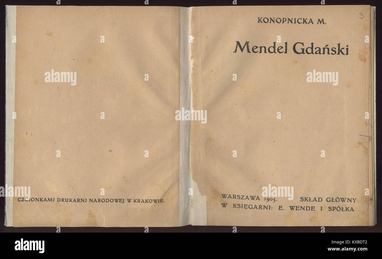 Maria Konopnicka, Mendel Gdański Stock Photo - Alamy
