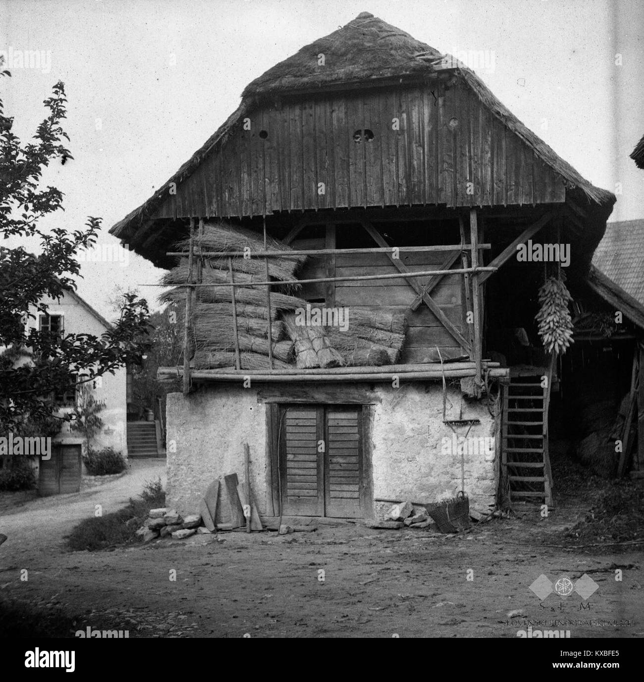 This 1951 photograph from Trebelno, Slovenia, depicts a traditional ...