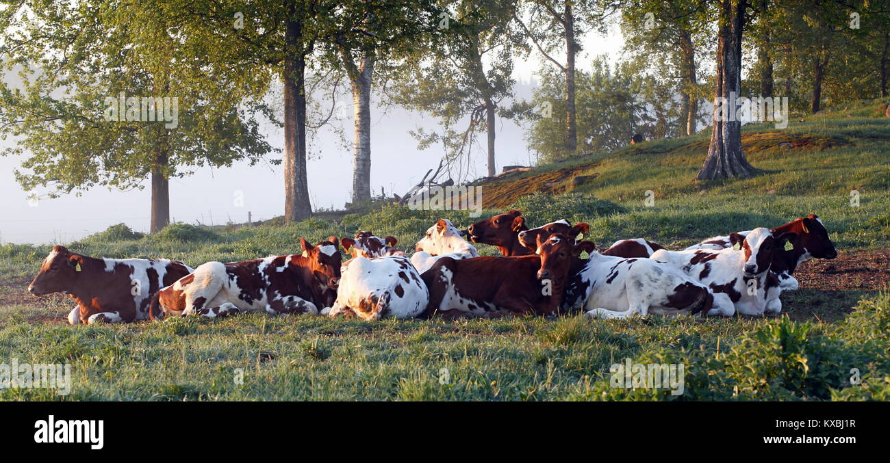 Conservation farming hi-res stock photography and images - Alamy