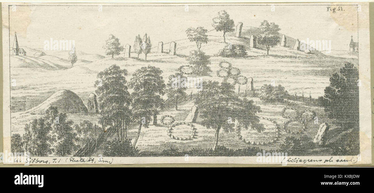 The Skatelöv burial field in Kronoberg County, Sweden, is an Iron Age ...