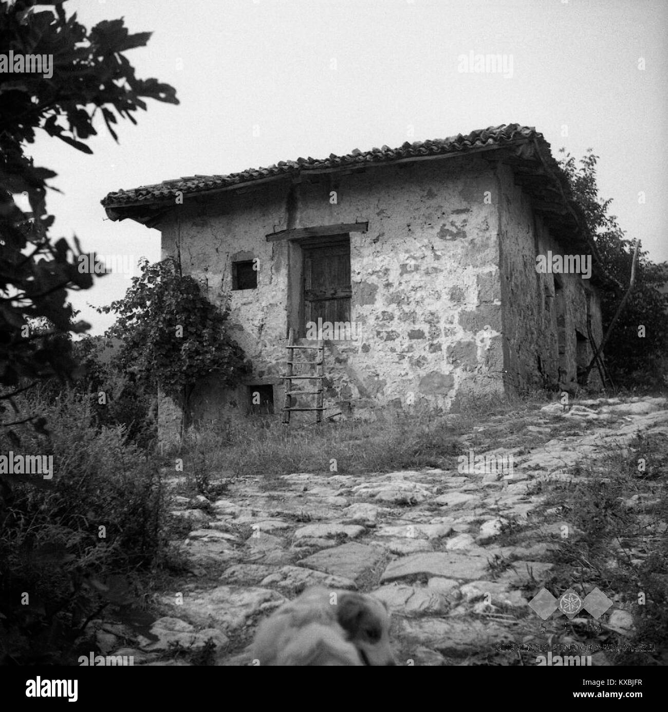 From below house Black and White Stock Photos & Images - Alamy