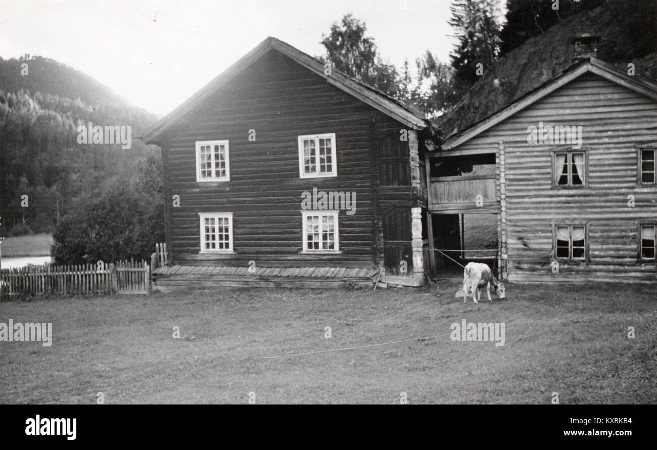 Photograph of Skjønne Nordre in Buskerud, Norway, showing a traditional ...
