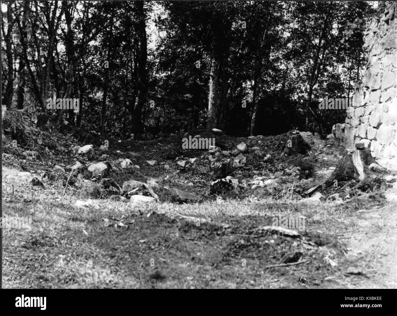 The ruins of Saint Olaf’s Chapel (Sankt Olofs kapellruin) in Skog ...