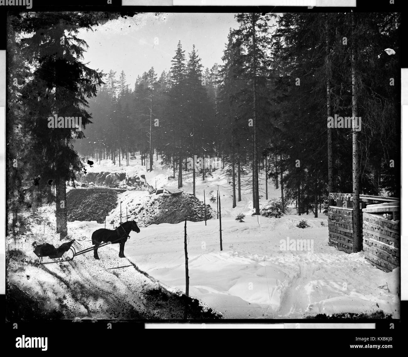 Early 1900s horse drawn cart hi-res stock photography and images - Alamy