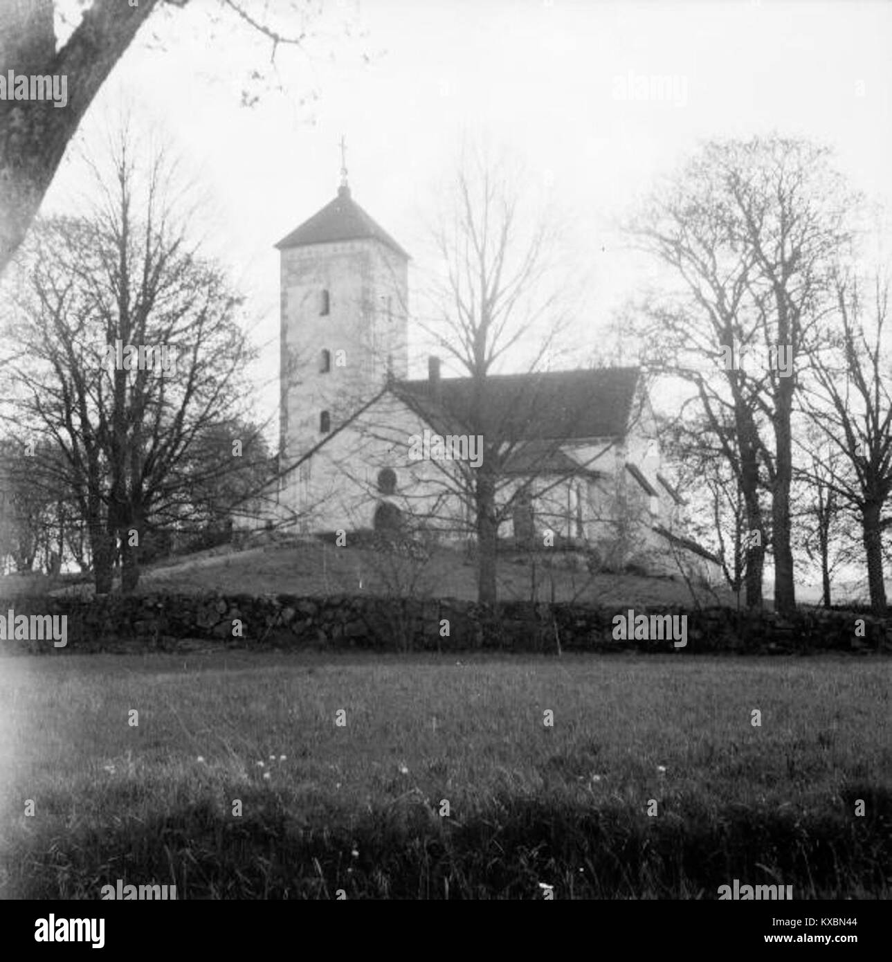 Preserved fragments Black and White Stock Photos & Images - Alamy