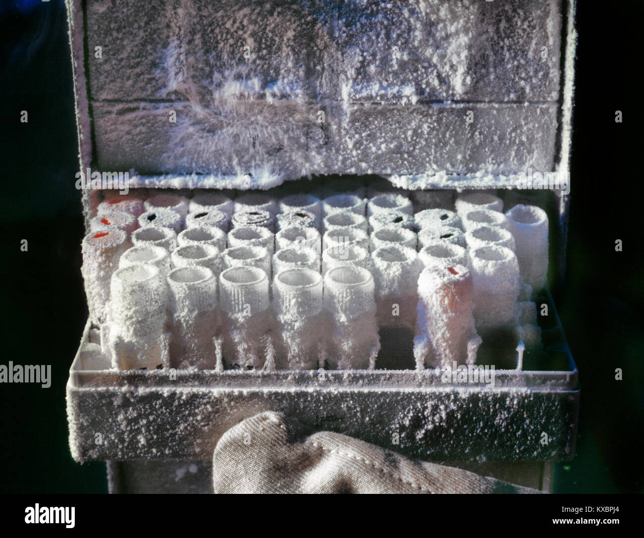 Kept frozen hi-res stock photography and images - Alamy