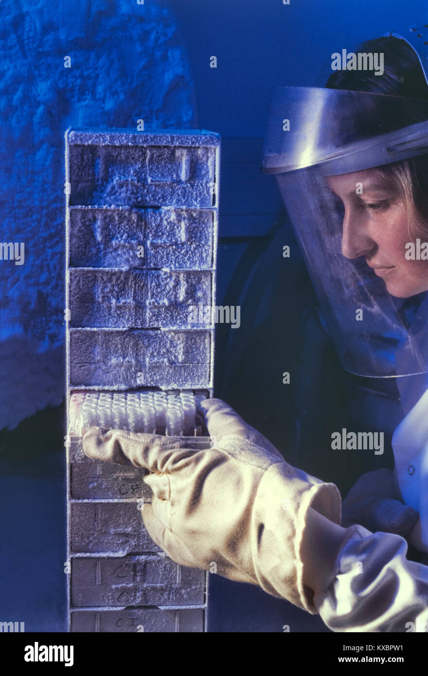 Cryostorage hi-res stock photography and images - Alamy