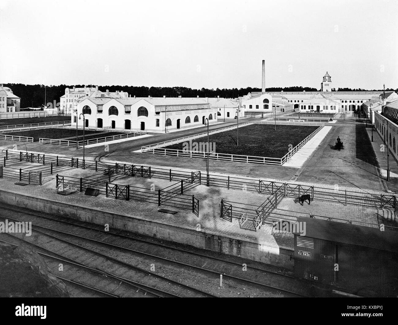 Public slaughterhouse Black and White Stock Photos & Images - Alamy