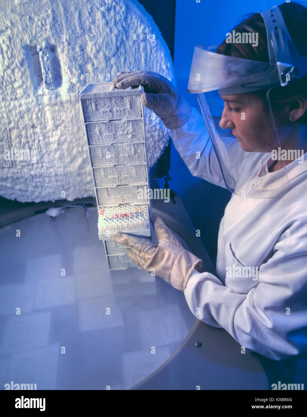 Cryostorage hi-res stock photography and images - Alamy