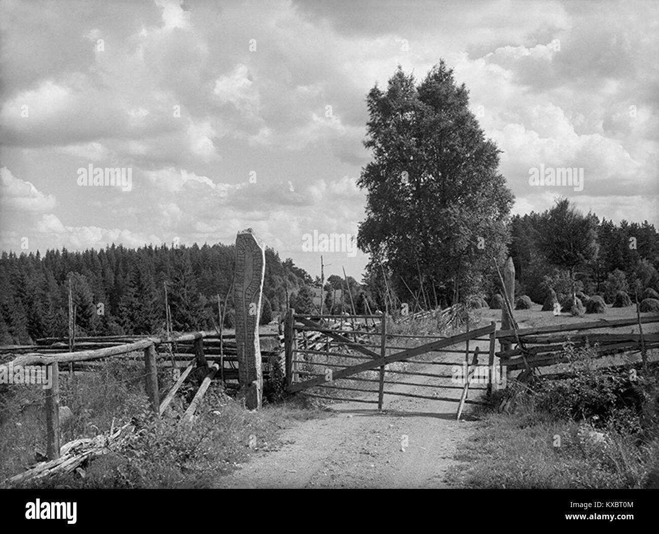 This object, known as Sm101 N,velsj,stenen, is an ancient stone ...