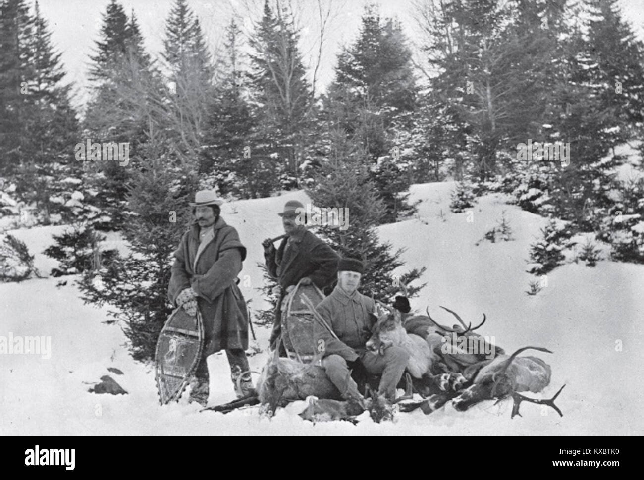 Sportsman with Guides and caribou, New Brunswick. G.T. Taylor, c. 1887 ...