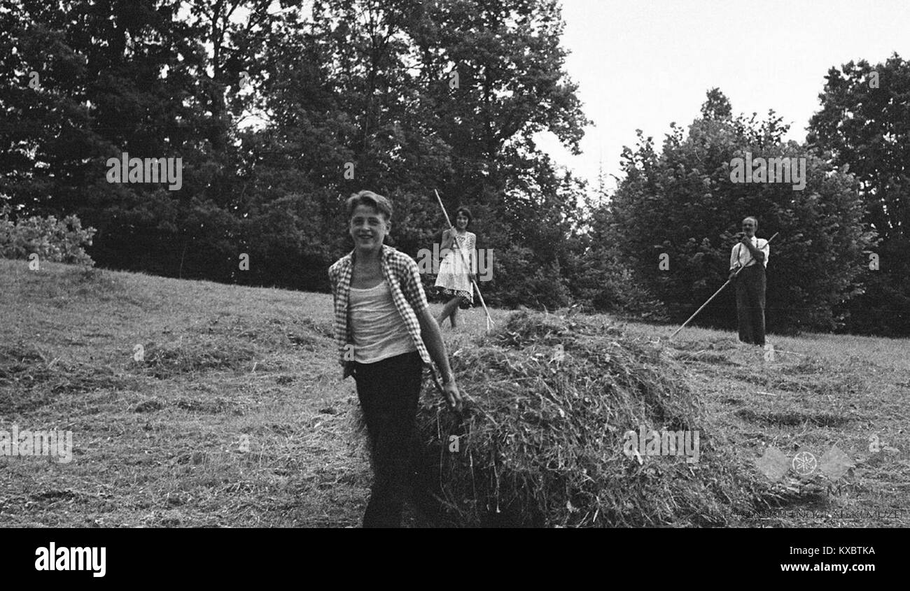 This 1964 photograph from Male Lipljene depicts the process of hay ...