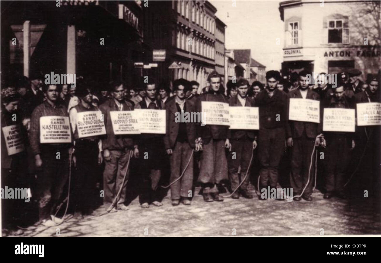 This historical photograph captures a scene from Celje, Slovenia ...