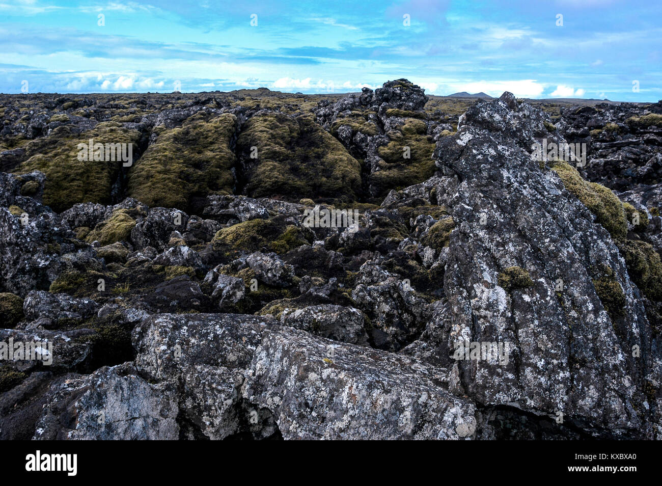 A long dividing line of rock separating the Eurasian continental plate ...