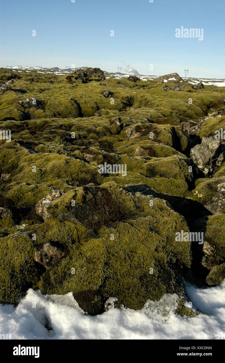 Moss covered lava rocks scattered over many miles in southwest Iceland ...