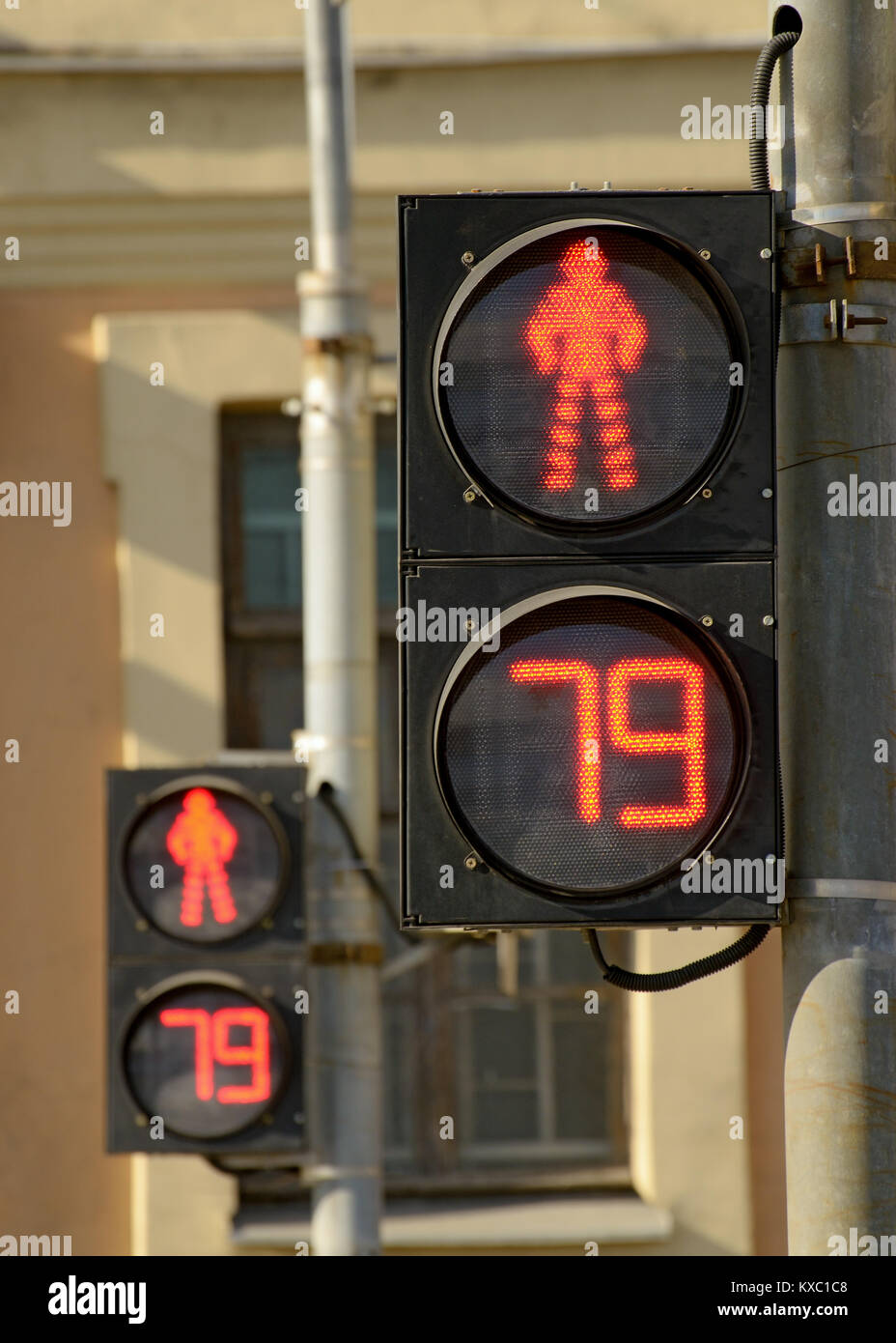 Traffic lights regulate the movement of pedestrians across the roadway ...