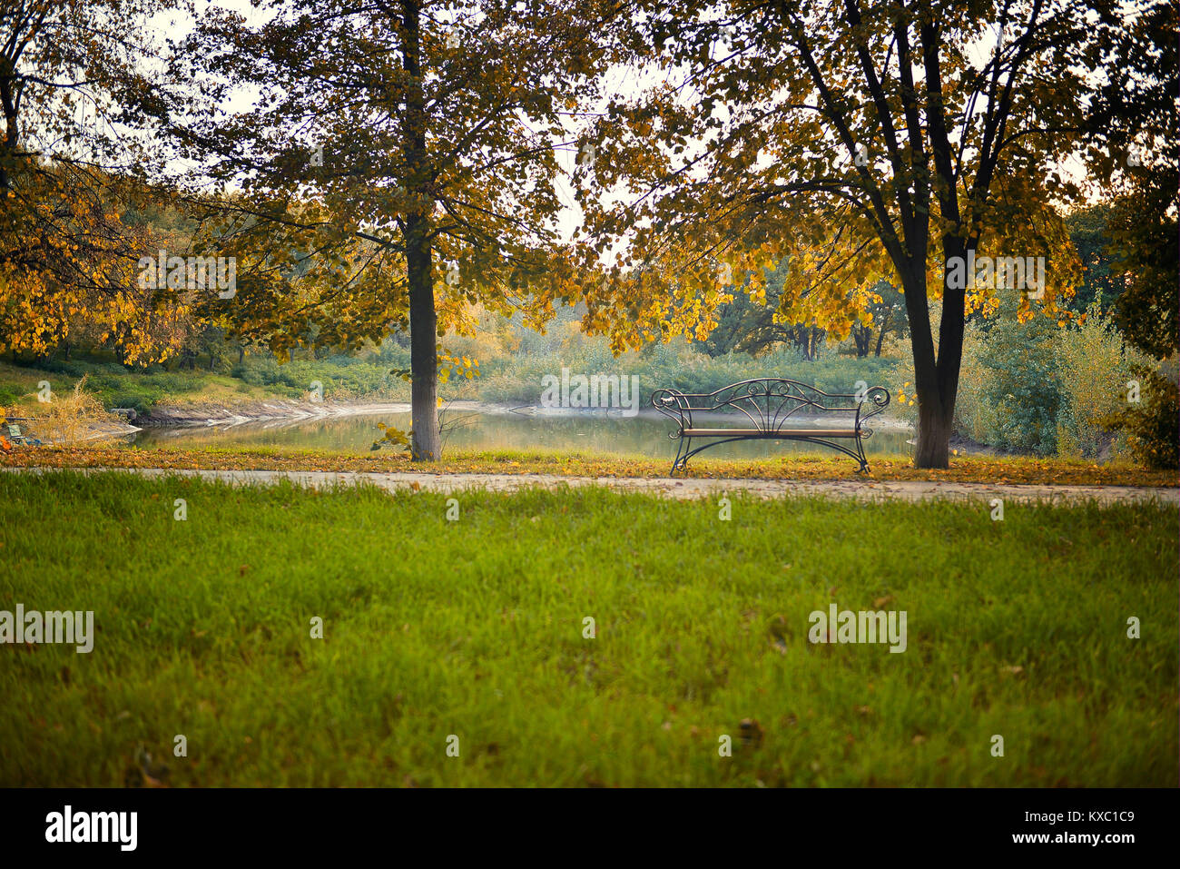 Autumn park bench under autumn trees landscape Stock Photo - Alamy