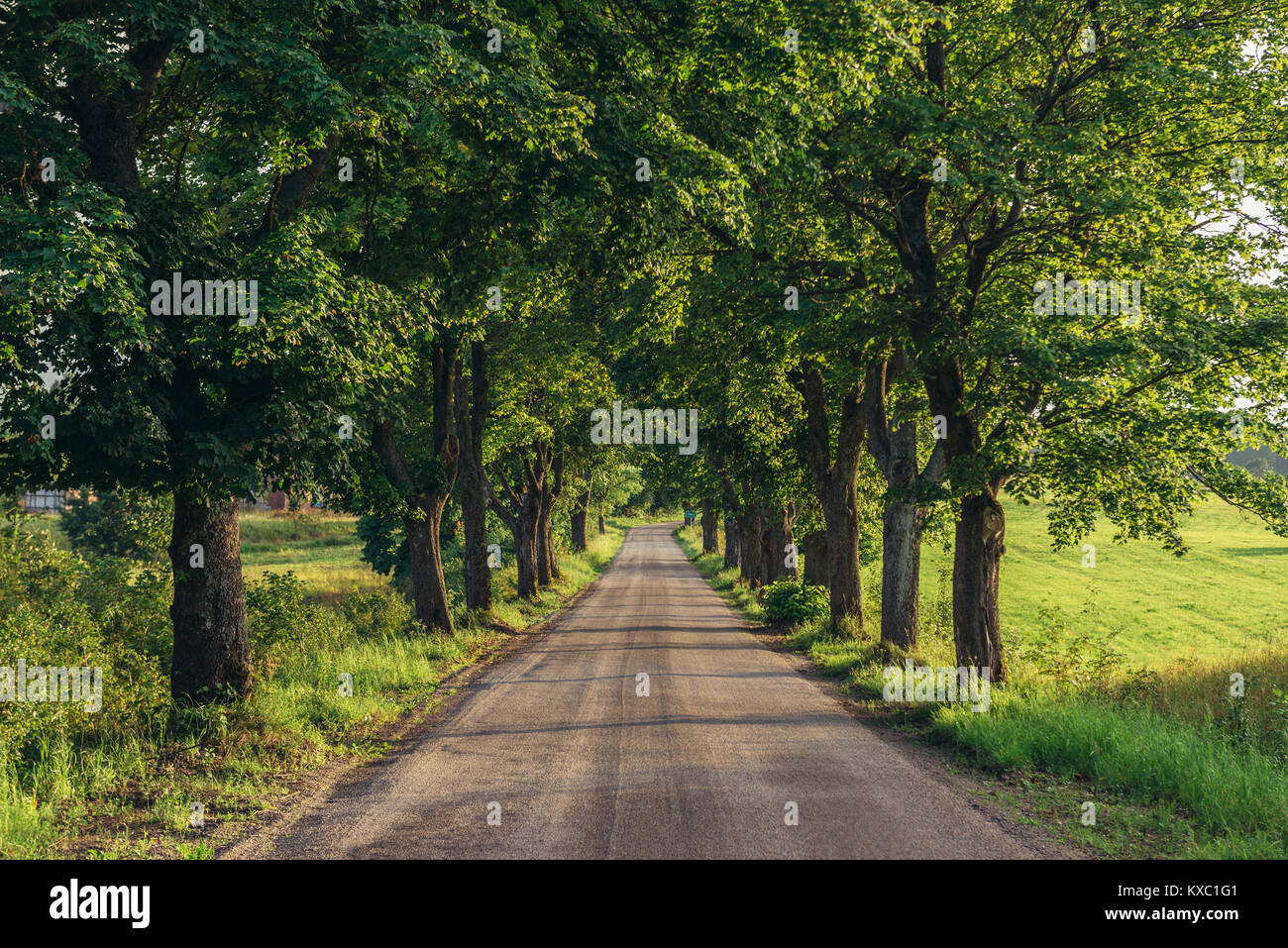 Masurian lake district hi-res stock photography and images - Alamy