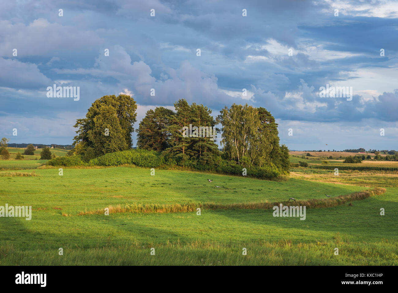 Masuria and lake and aerial hi-res stock photography and images - Alamy