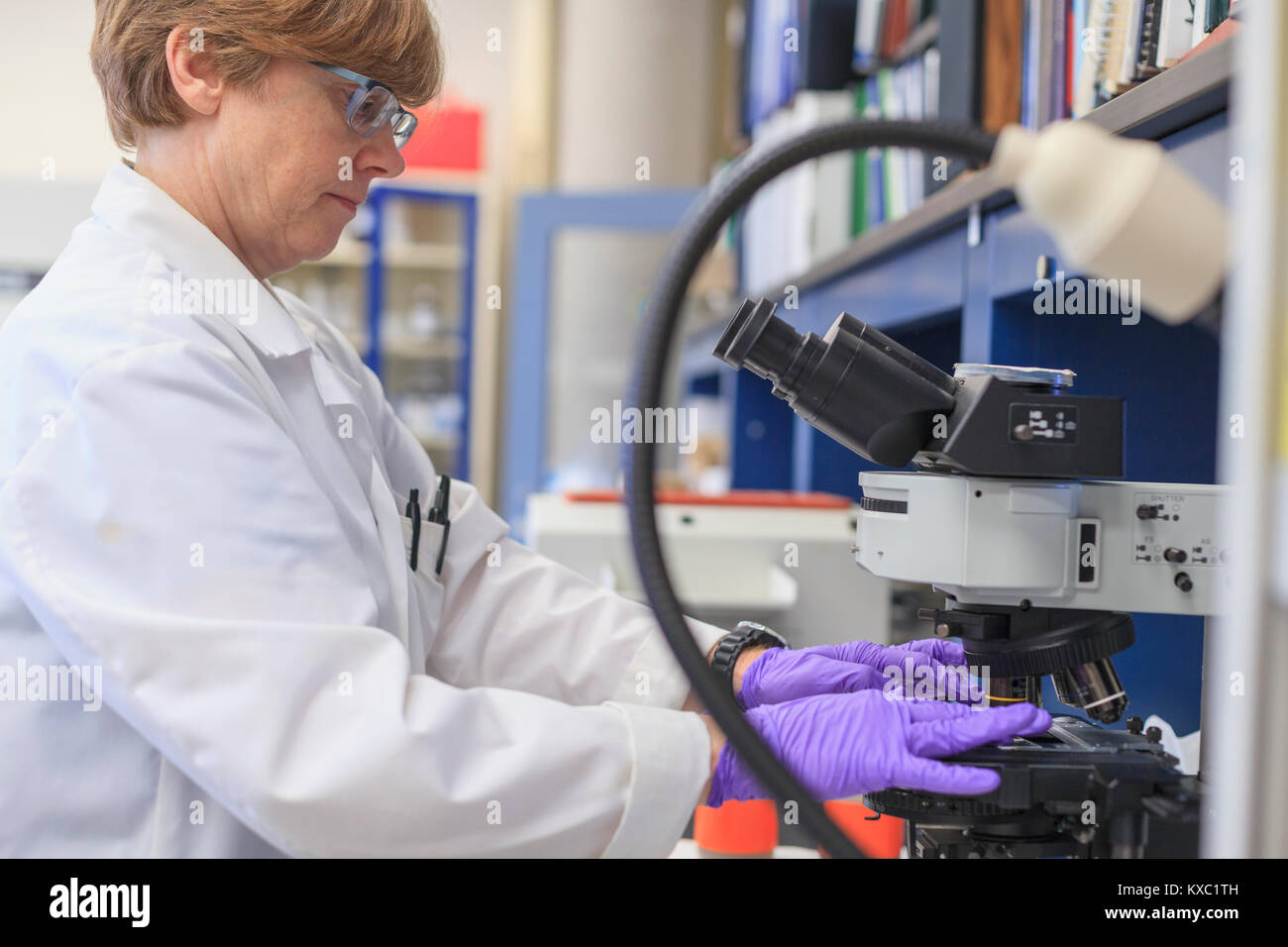 Microscope stage hi-res stock photography and images - Alamy