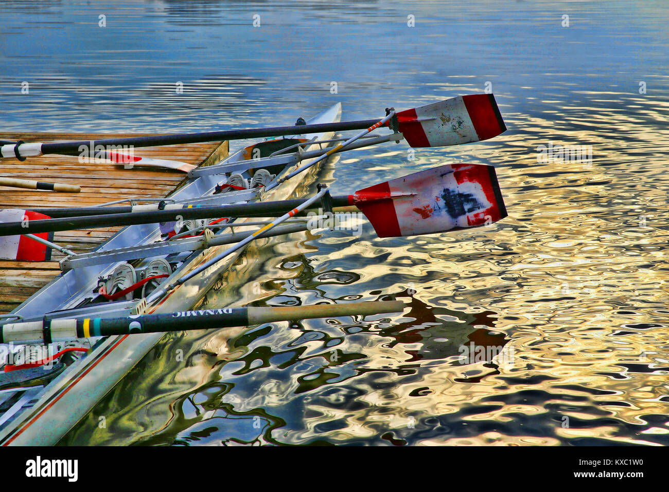 Oars rowing race hi-res stock photography and images - Alamy
