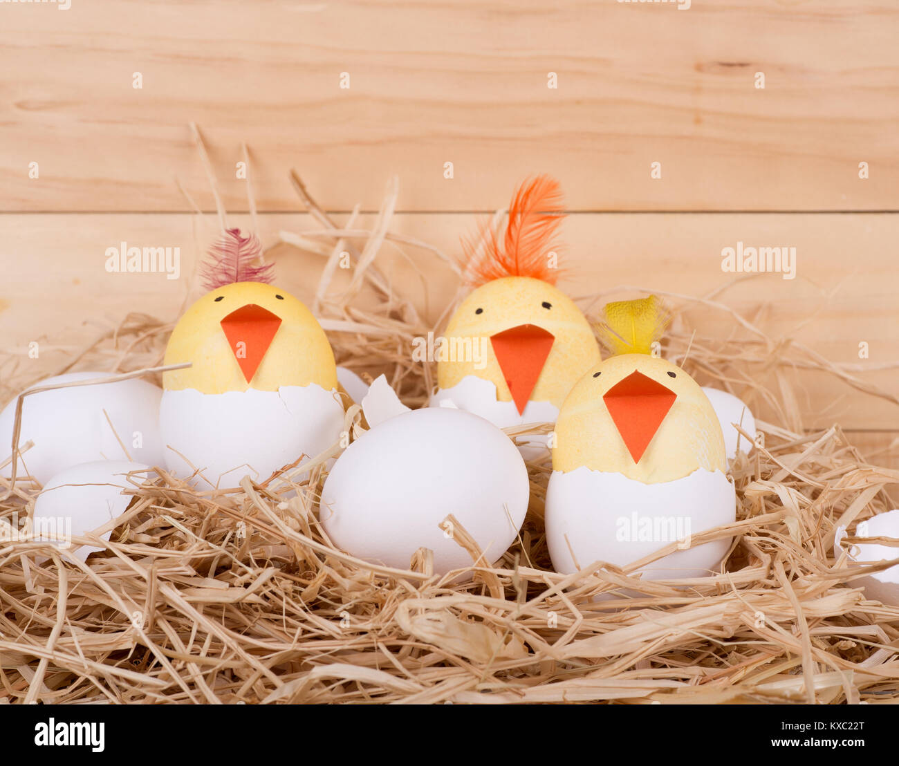 Hatching in the nest hi-res stock photography and images - Alamy