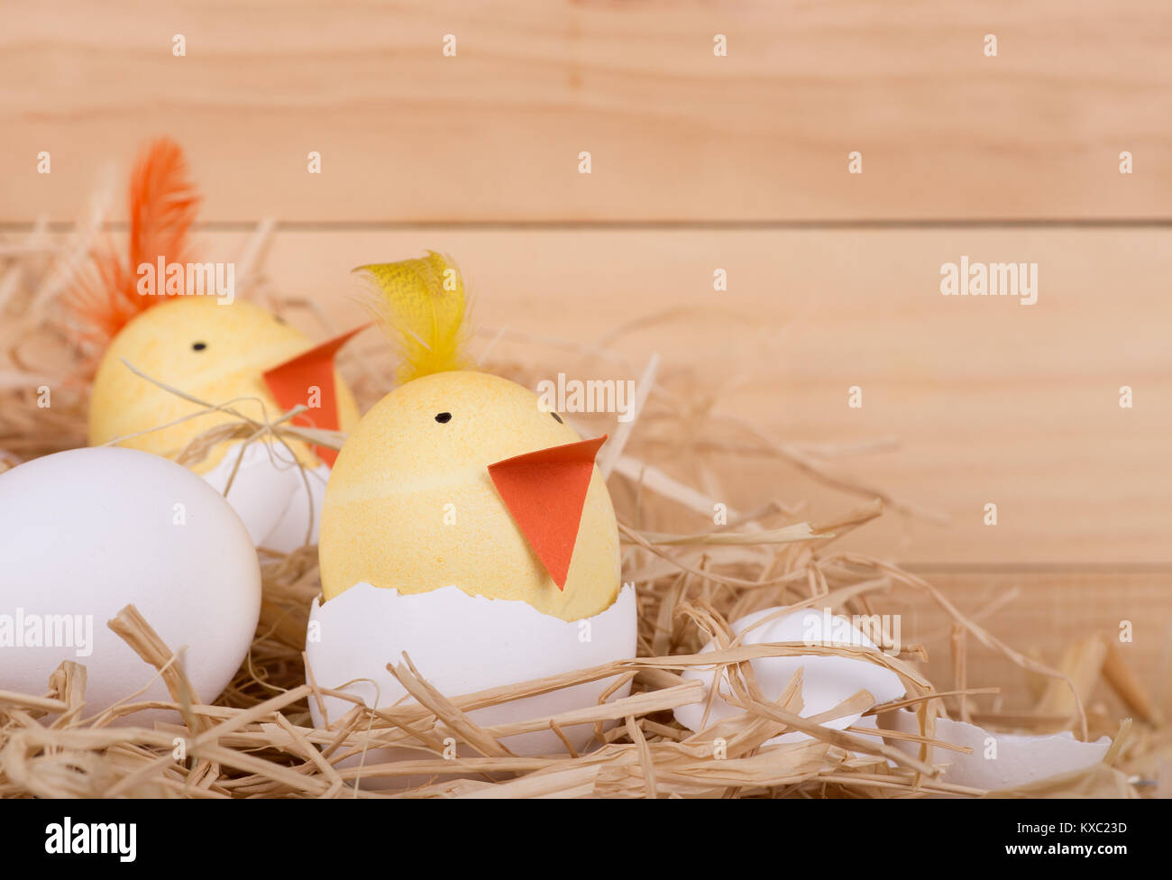 Spring hatching chick hi-res stock photography and images - Alamy