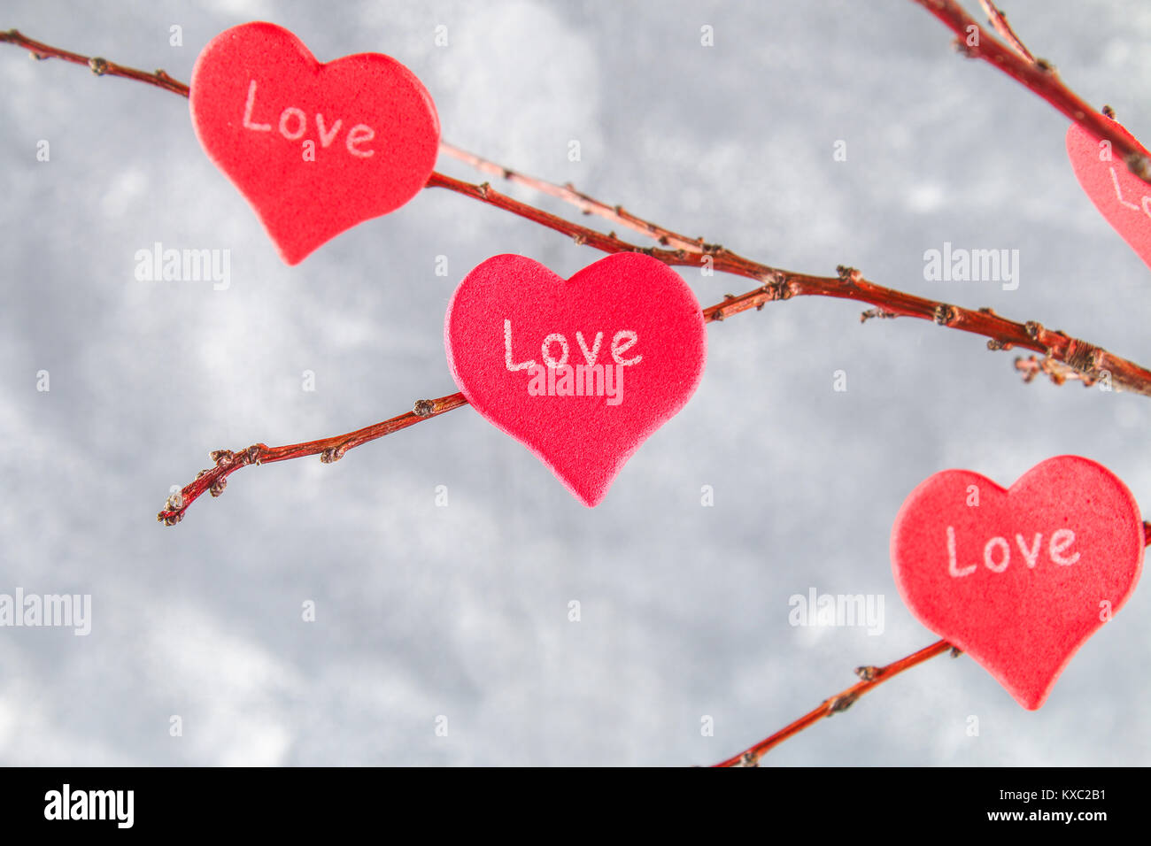 Red hearts with an inscription Love hang on branches on a gray concrete ...