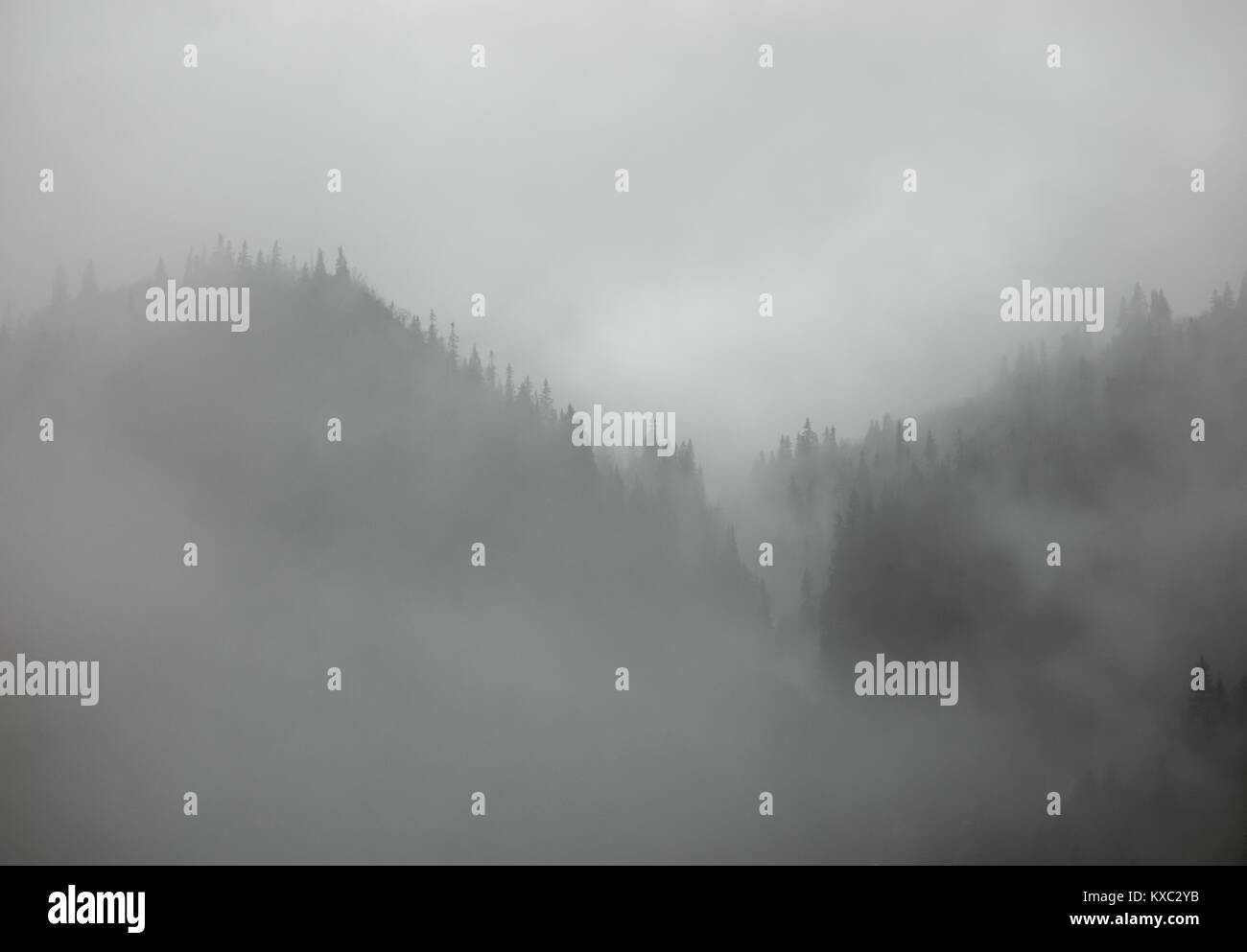 Thick fog covering in environment hi-res stock photography and images ...