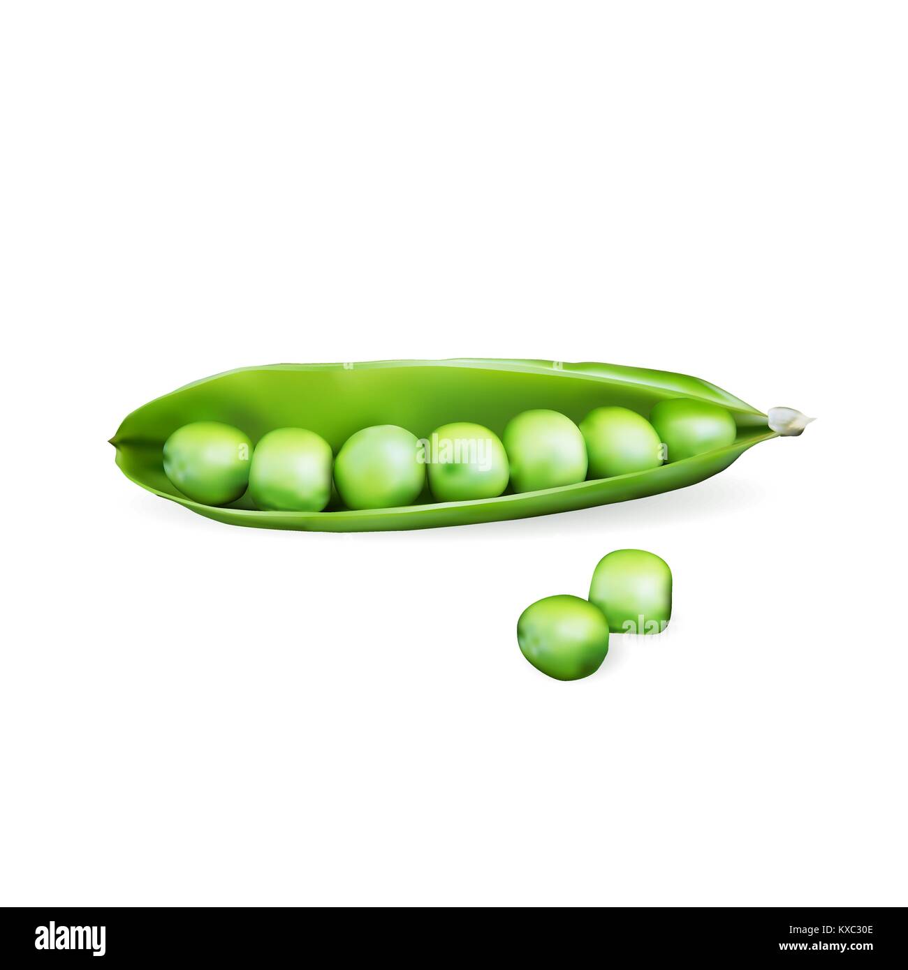 Vector realistic green peas on a white background Stock Vector Image ...