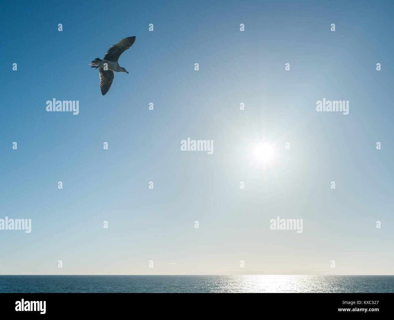 Flying over ocean sunset beautiful hi-res stock photography and images ...