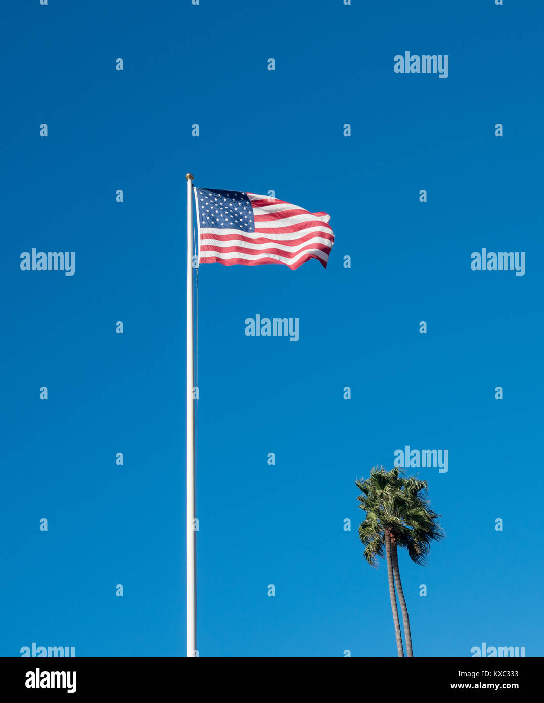 Stars and stripes and flag hi-res stock photography and images - Alamy