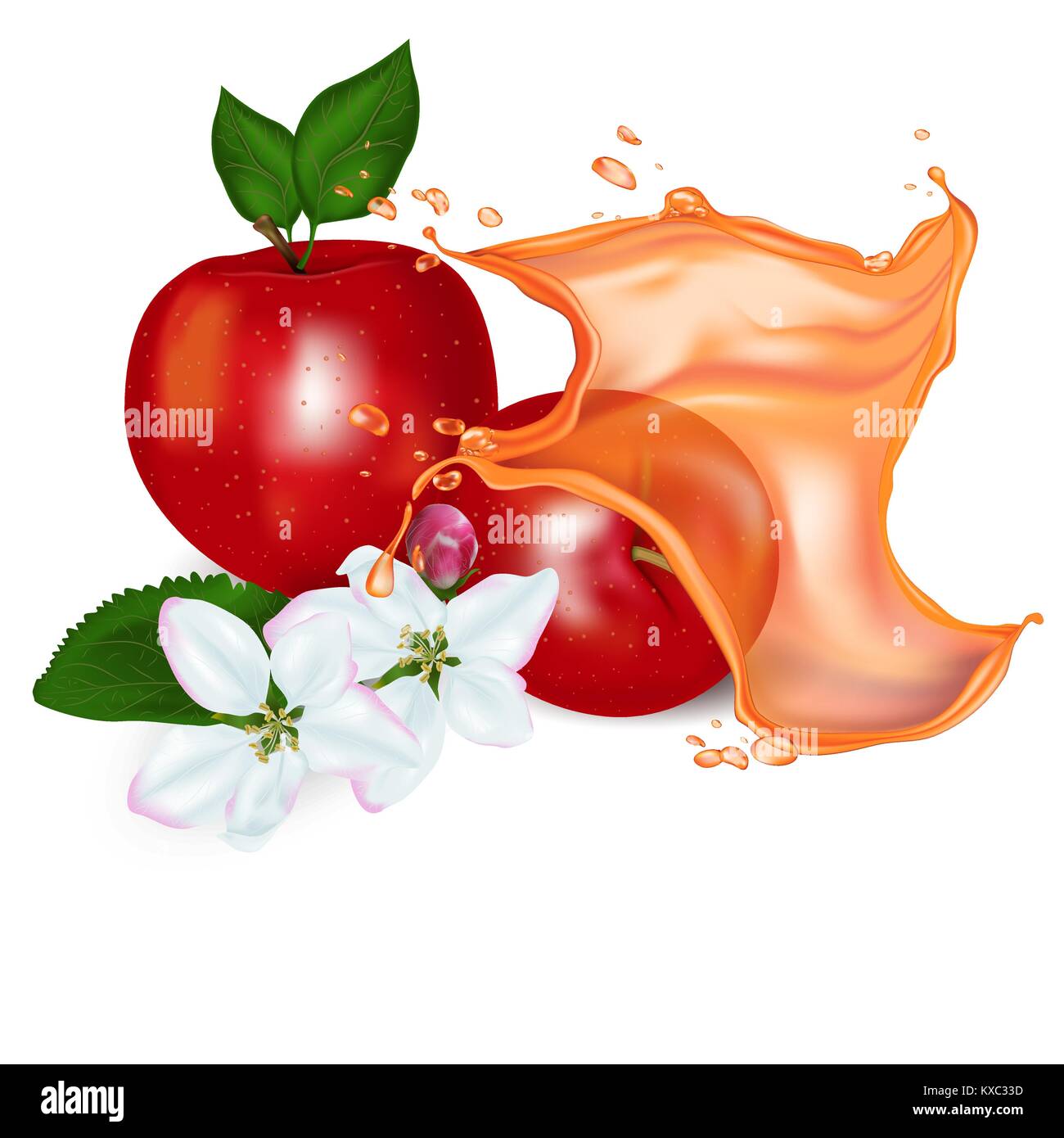 Orange fruit realistic design Cut Out Stock Images & Pictures - Alamy