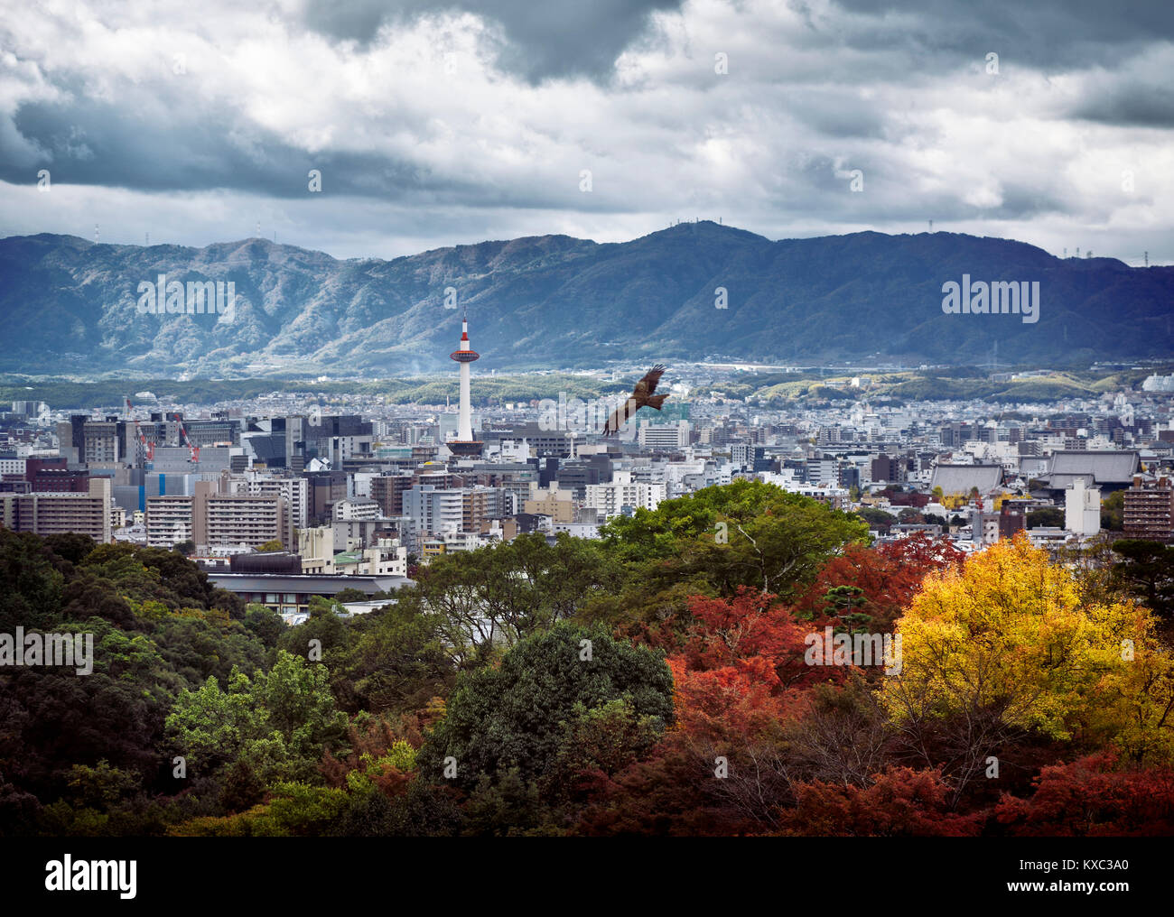 Japanese city and landscape hi-res stock photography and images - Alamy