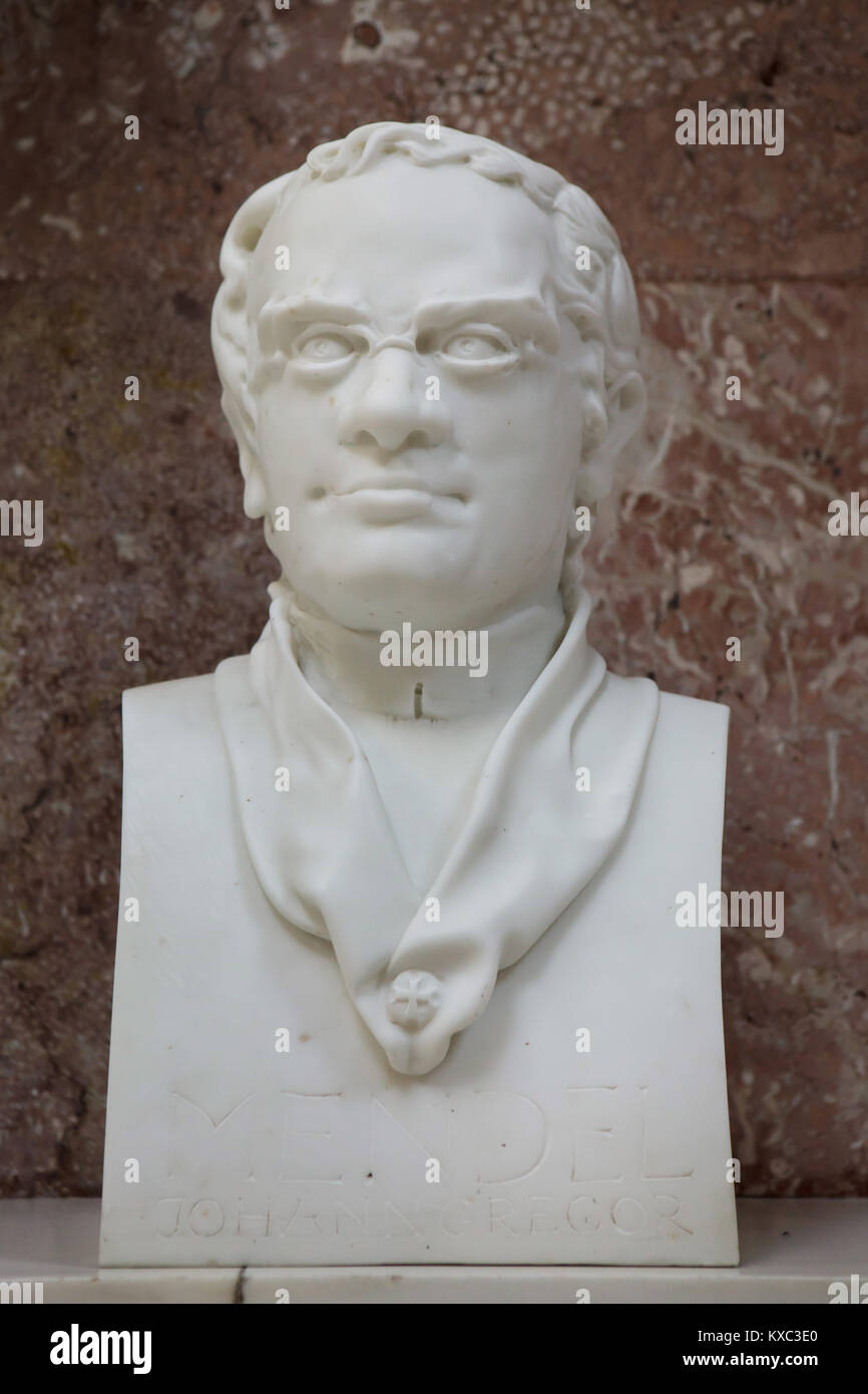 Gregor mendel hi-res stock photography and images - Alamy