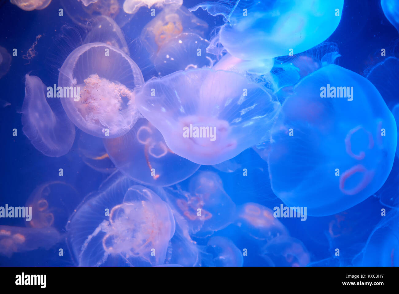 Underwater dance hi-res stock photography and images - Alamy