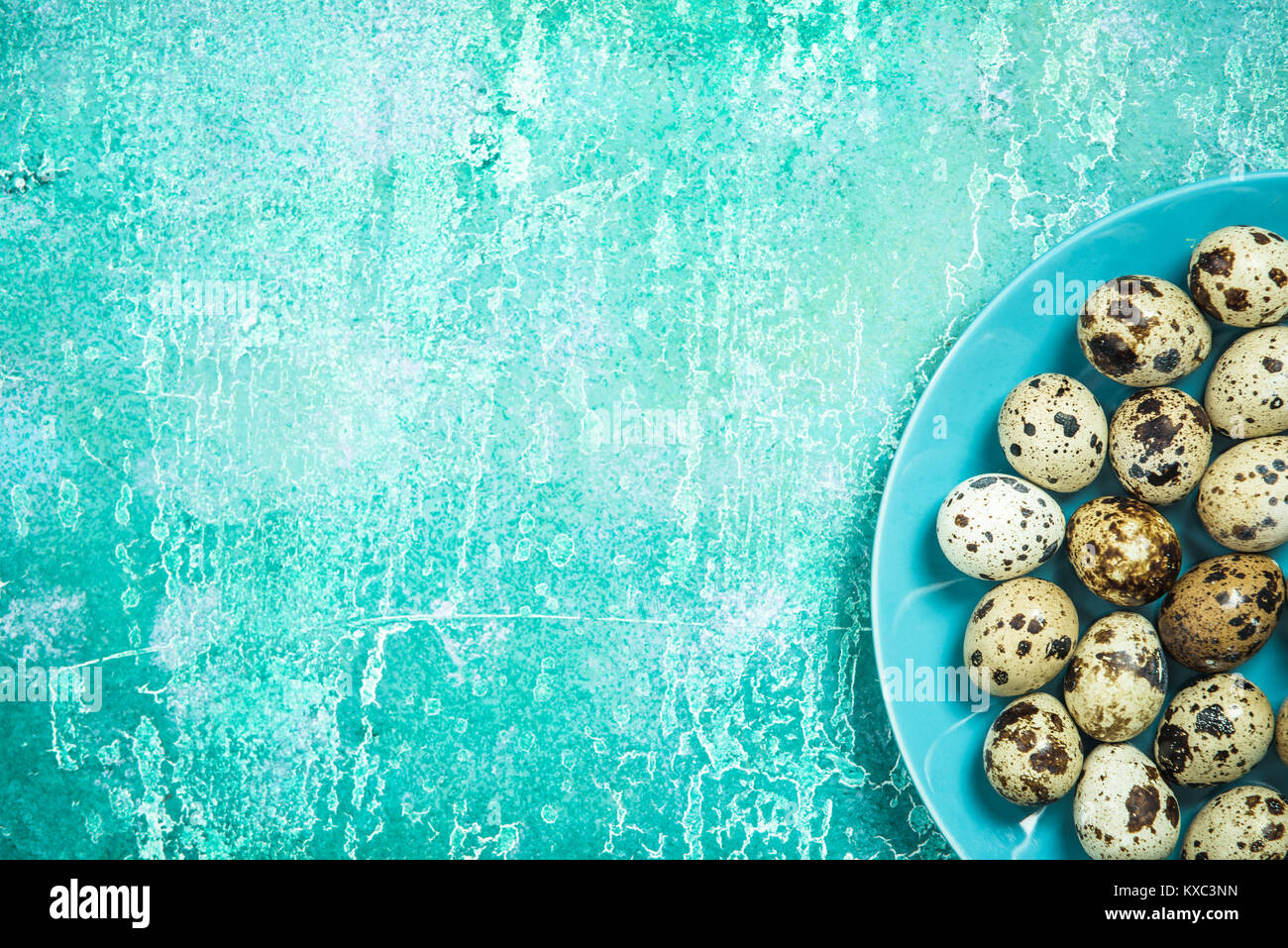 Quail eggs on plate, top view on concrete slate Stock Photo - Alamy