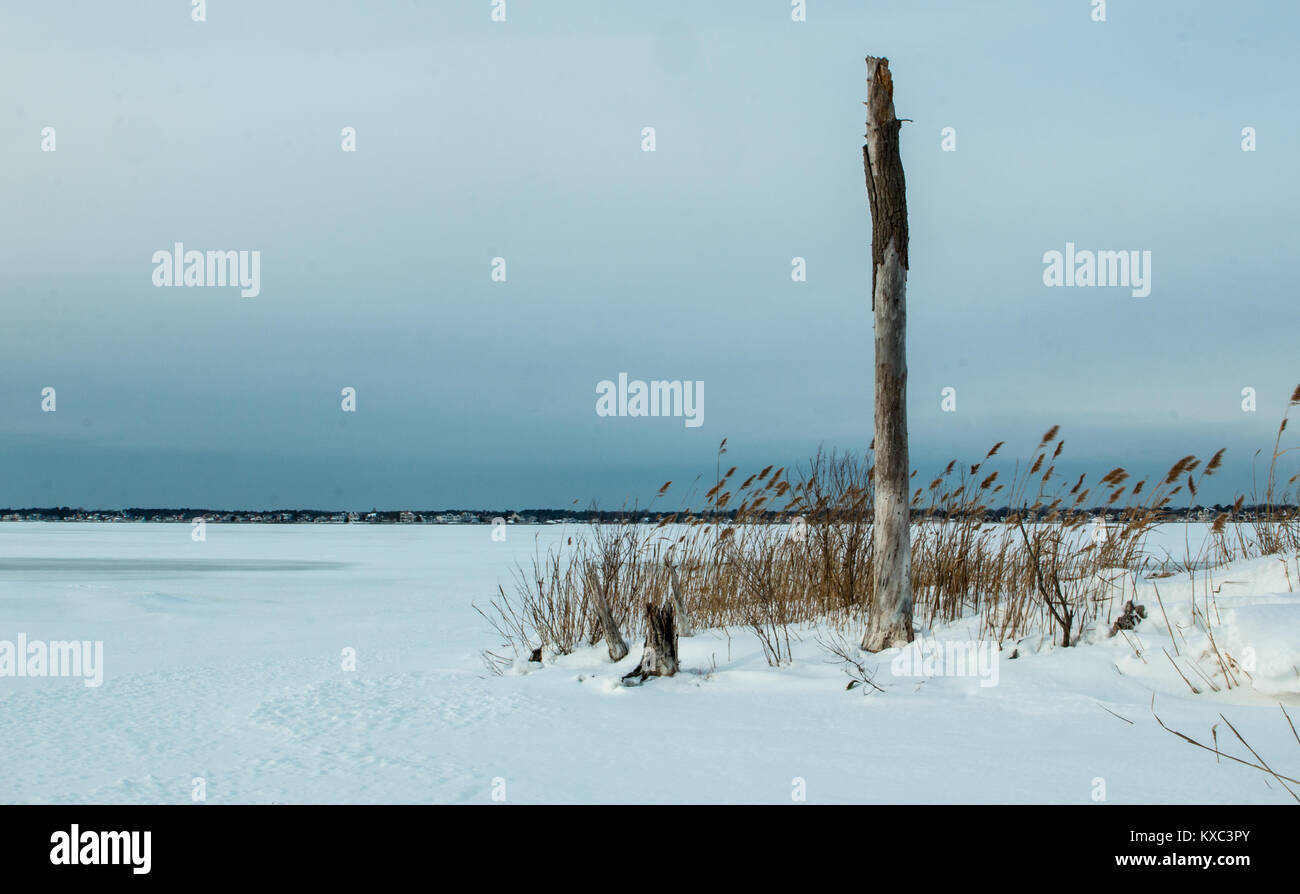 Frozen bay at cattus island county park Stock Photo - Alamy