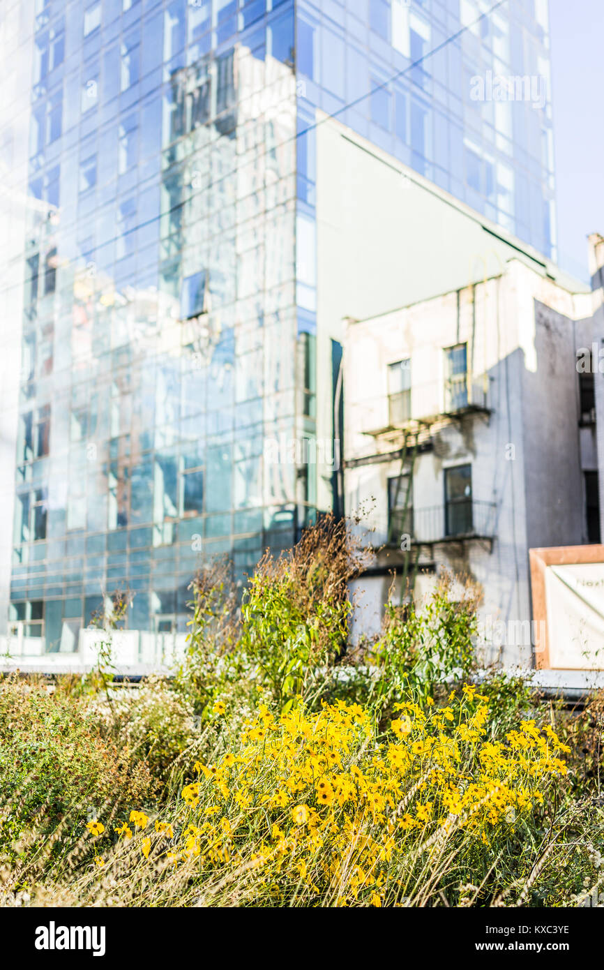 Modern glass skyscrapers apartment buildings in New York City NYC in ...