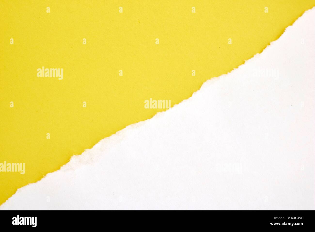 A studio photo of torn paper Stock Photo - Alamy