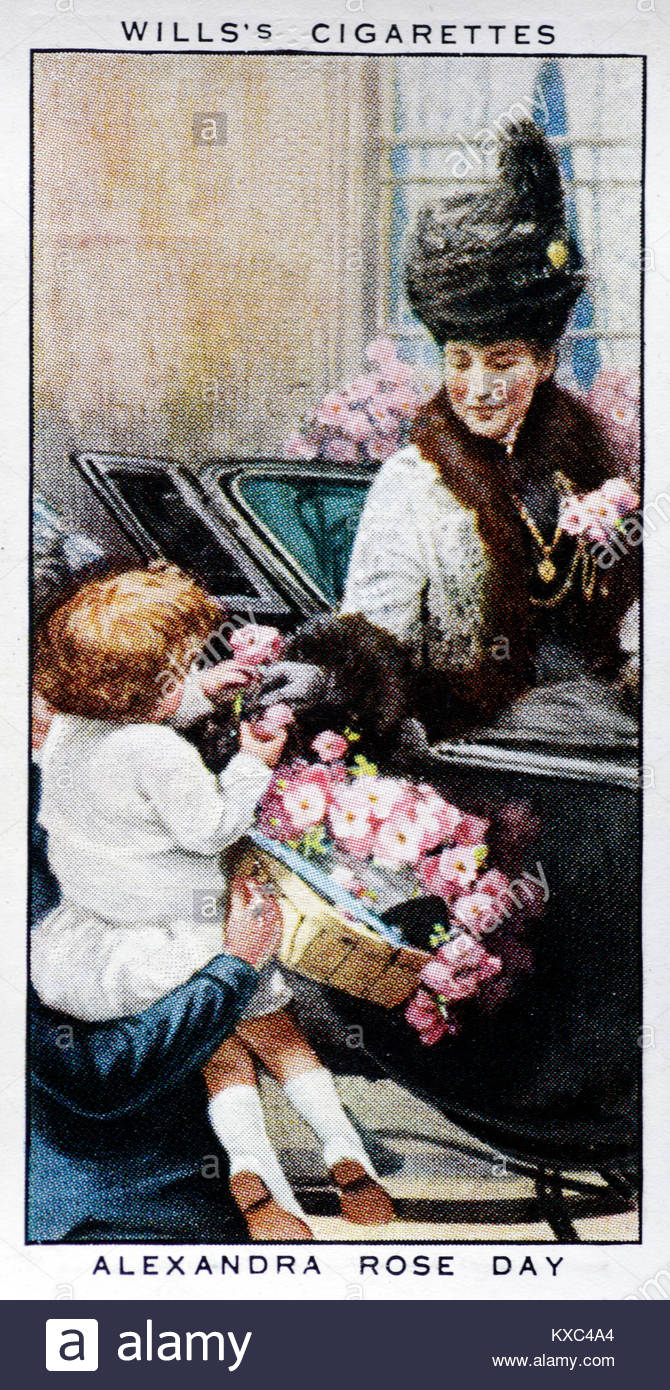 Alexandra rose hi-res stock photography and images - Alamy