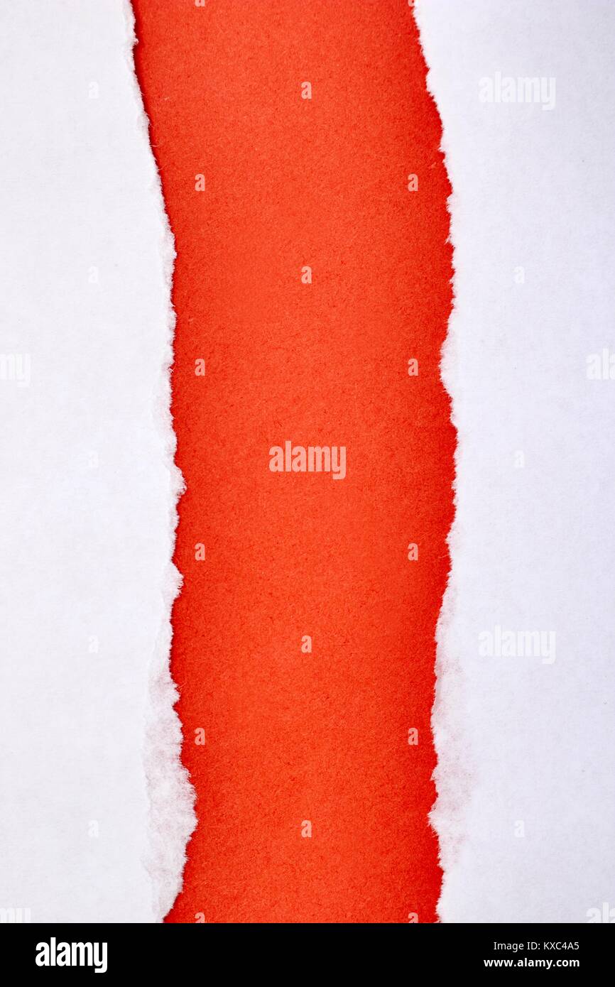 A studio photo of torn paper Stock Photo - Alamy