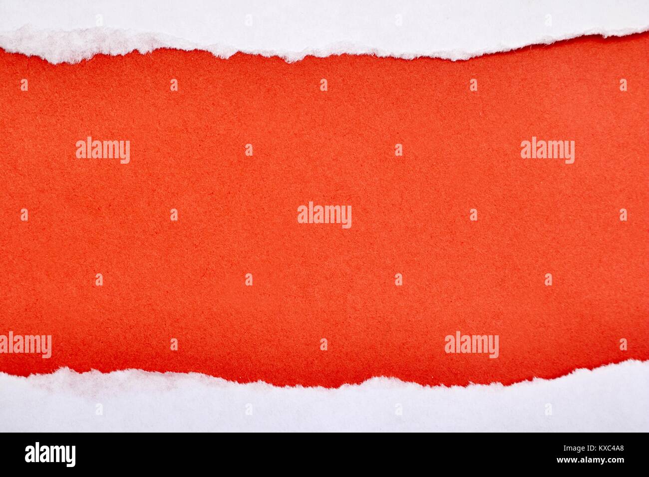 A studio photo of torn paper Stock Photo - Alamy