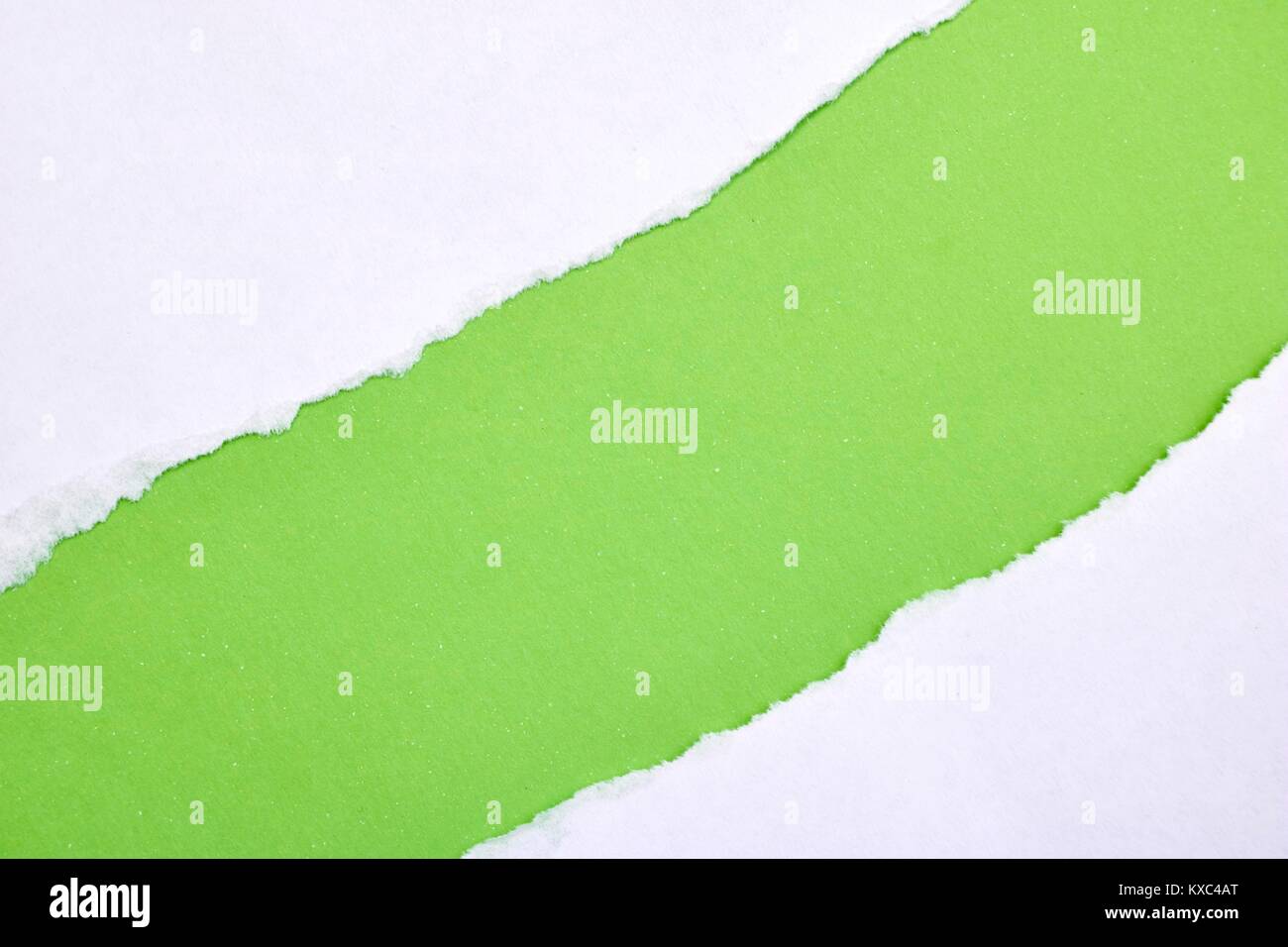 A studio photo of torn paper Stock Photo - Alamy